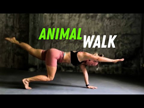 30 Min Special Animal Walk Exercises | Mobility, Flow & Freedom of Movement