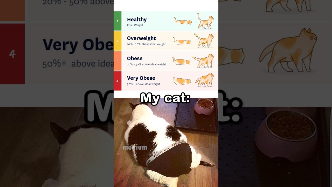 Is he obese?