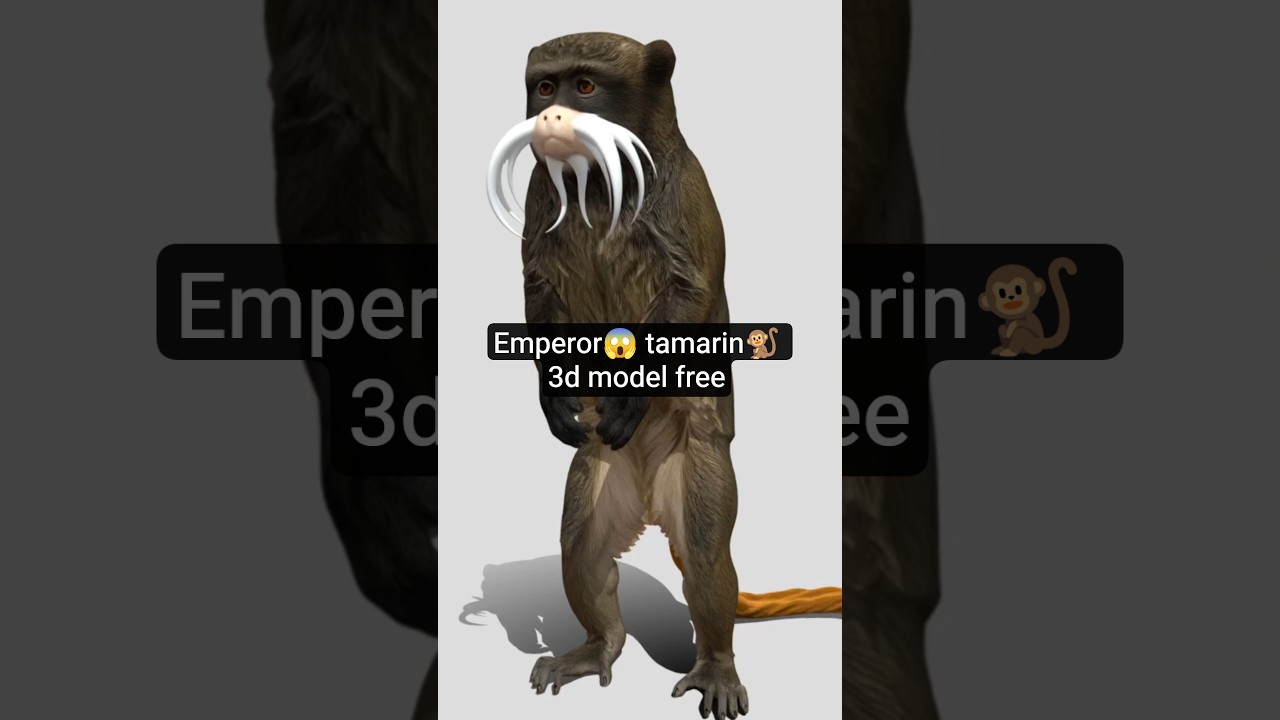 Download 3d models free without paying #3d #tutorial #hack
