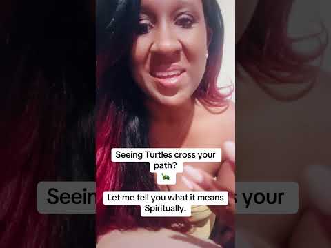 Spiritual meaning of turtles #spiritualawarness #spiritualawakening #spiritualmeaning #spiritual