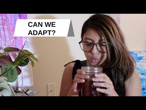 Depression - Does it Have a History and Purpose?