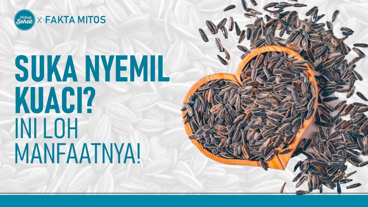 4 Manfaat Kuaci (Biji Bunga Matahari), Bisa Jadi Camilan Sehat! | Hidup Sehat tvOne