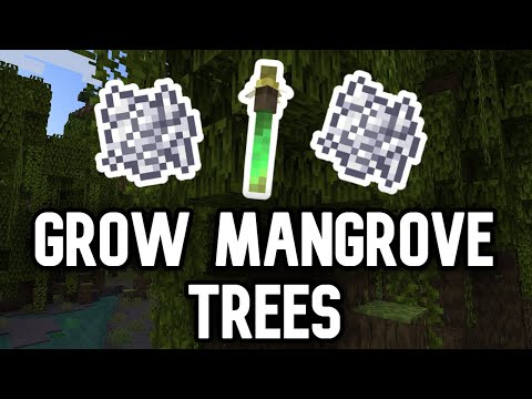 How To Grow Mangrove Trees In Minecraft