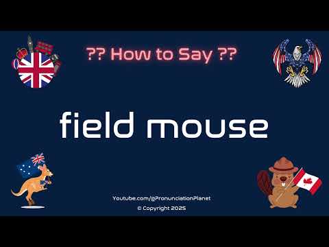 🐭🌾 How to Pronounce field mouse? (CORRECTLY) | Pronunciation Planet