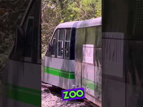 NandanKanan Zoological Park Toy Train #shorts