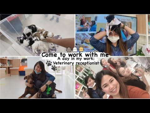 Come to work with me! | A day in my life as a veterinary receptionist πΆπ±