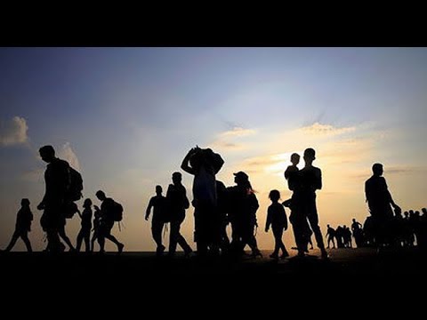 Migration Geography (AP Human Geography)