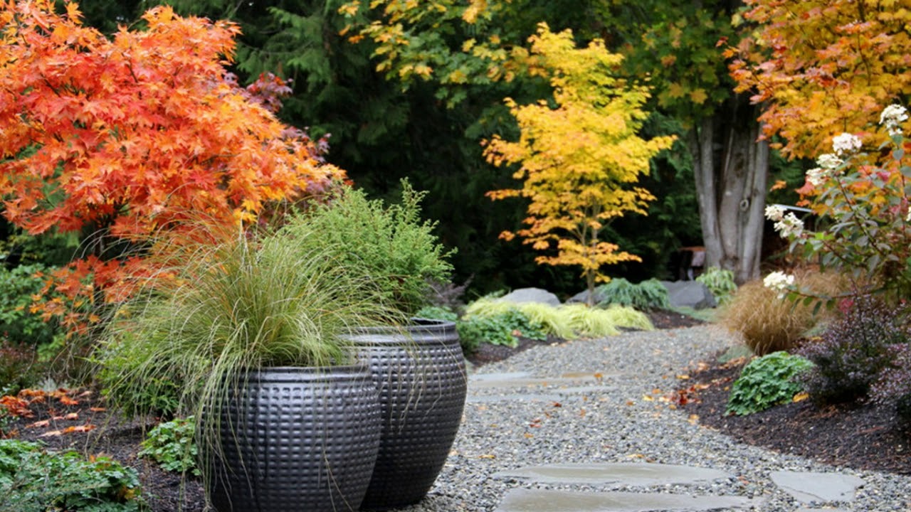 Garden Design Japanese Maple - Garden Design Ideas