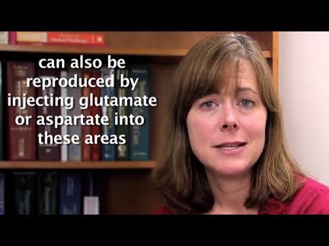 Status Epilepticus by S. Vitali | OPENPediatrics