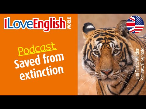 ENGLISH PODCAST – Saved from extinction – December 2021 – I LOVE ENGLISH WORLD 344