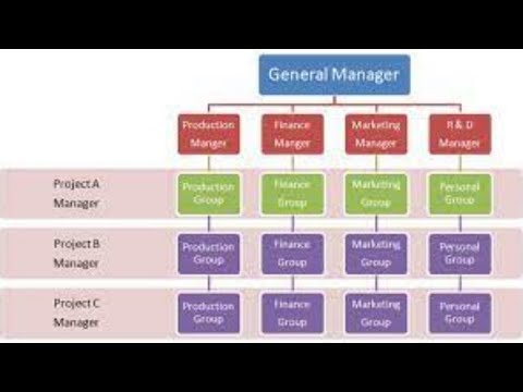 Matrix Organization