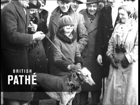 The Blue Riband Of The Leash (1932)