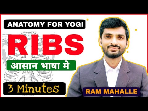 Ribs | Anatomy in hindi | @RamMahalle | for Yoga teachers