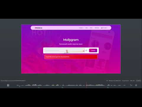 mollygram.com