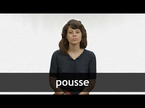 English Translation of “POUSSE” | Collins French-English Dictionary