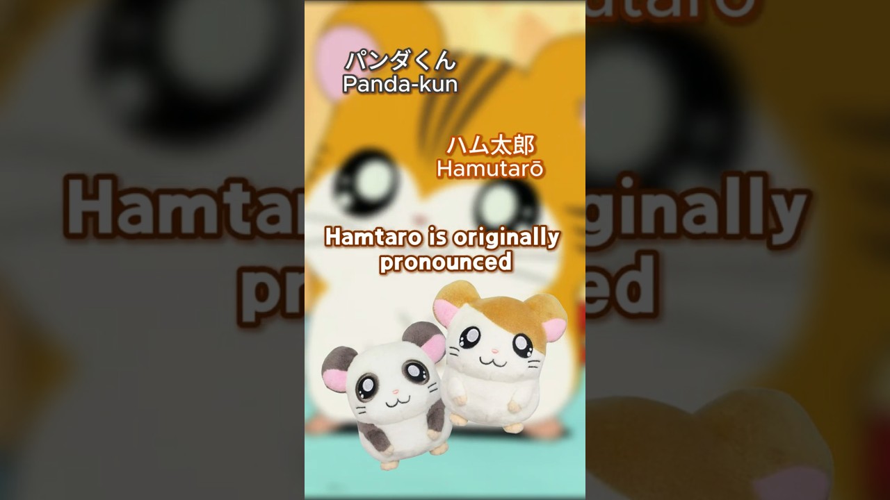 The differences in hamster names?  #hamtaro #anime #cartoon #nostalgia