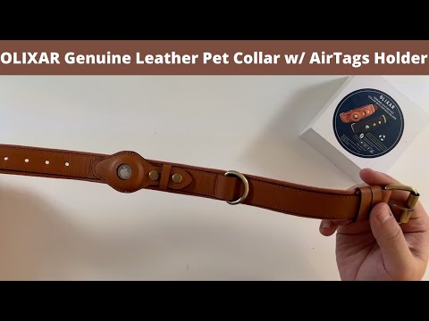 OLIXAR Genuine Leather Pet Collar With AirTags Holder Review!