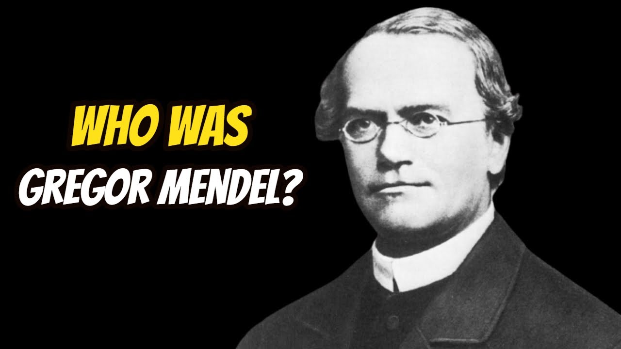Who Was Gregor Mendel