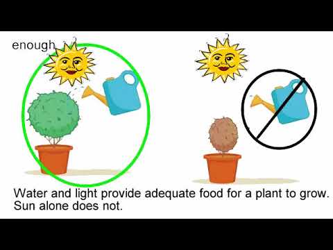 adequate meaning | Vocabulary for Kids | Children's Dictionary | Learn English Vocabulary
