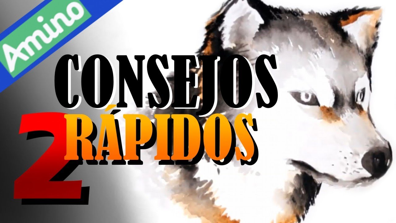 AMINO VLOGGER DEL DÍA - 2 CONSEJOS RÁPIDOS