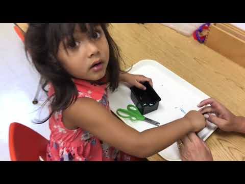 Montessori Academy Near Me In Monmouth County in Central NJ