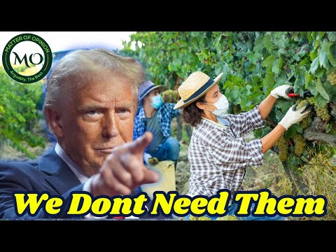 Farmers And Business Owners Regrets Voting For Trump BIG Time