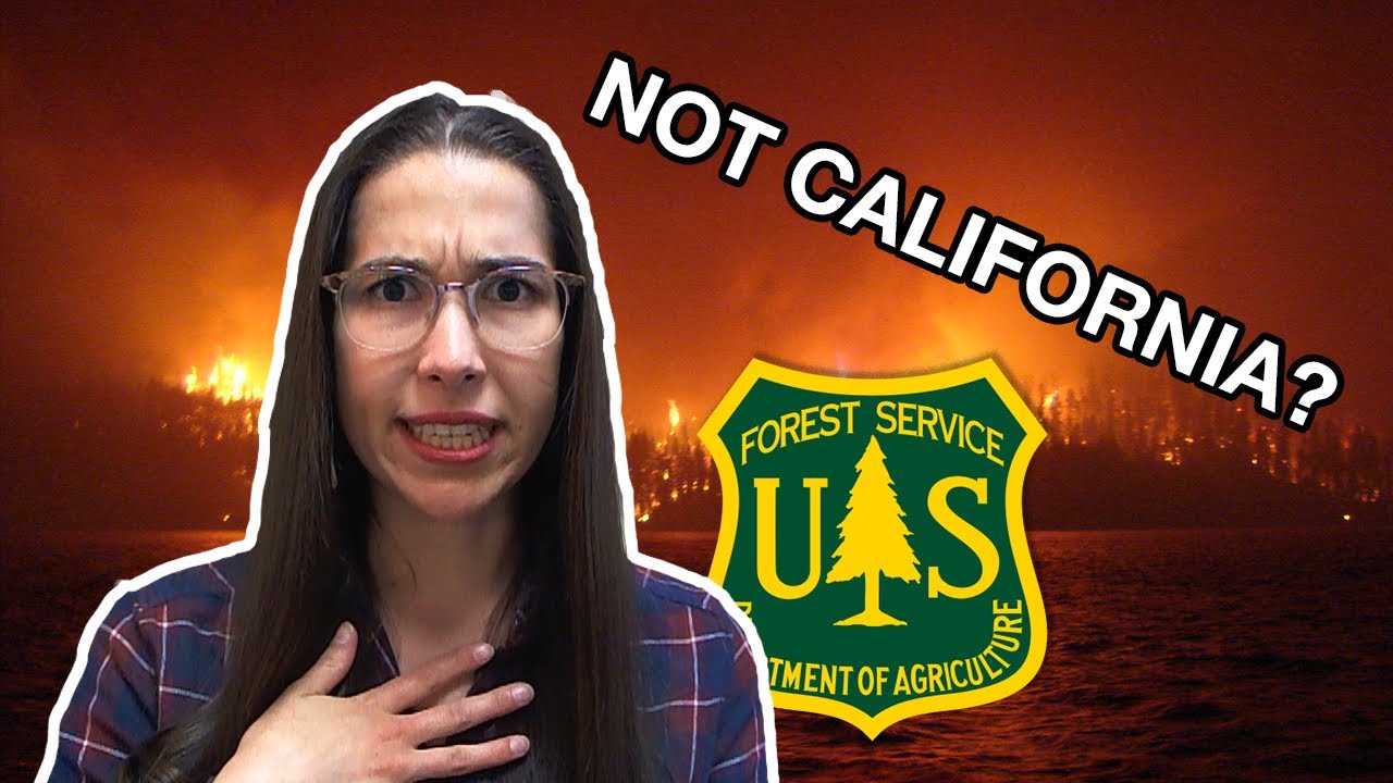 What was the largest wildfire in US history?