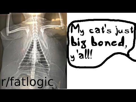#reddit #fatlogic r/fatlogic: My cat is just big boned, y'all!