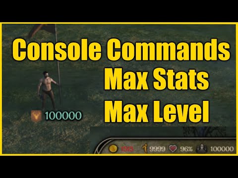 Steam Community :: Video :: How to Enable Console Commands/Cheat Menu ...