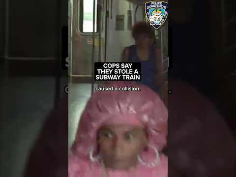 Cops say they stole and crashed a subway train