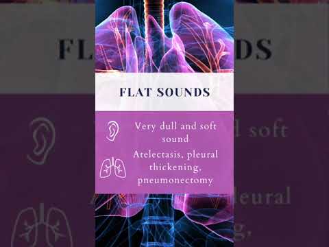 Learn Lung Percussion Sounds with Me