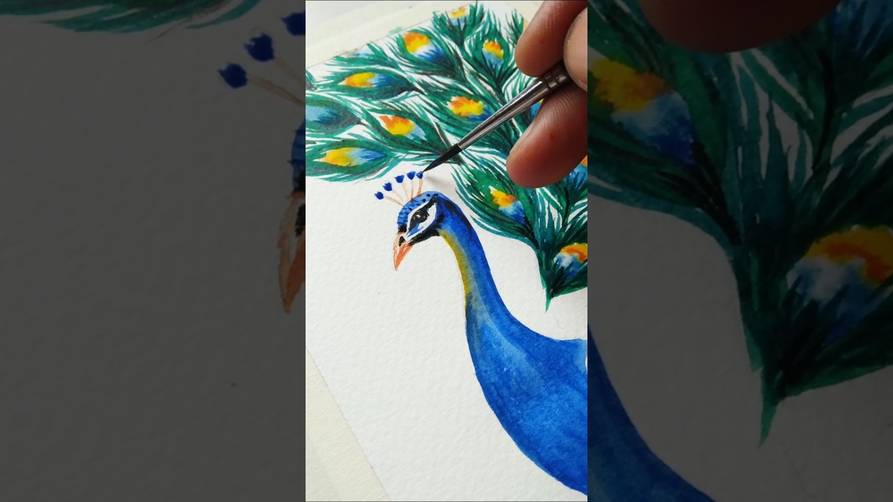 Peacock drawing 🐸 😊 #art #painting #shorts #peacock #easypainting #artideas #watercolor