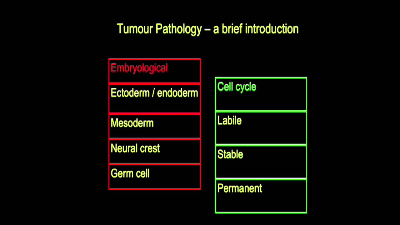 Tumour pathology - a brief introduction: part I