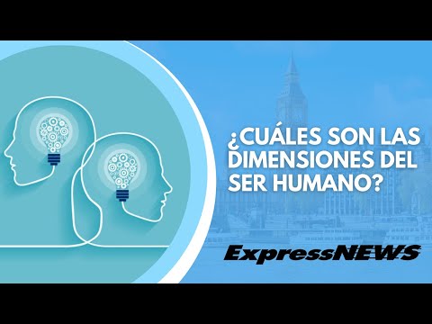 ¿Cuáles son las dimensiones del ser humano?