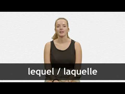 English Translation of “LEQUEL” | Collins French-English Dictionary