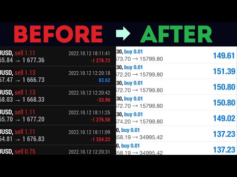 Forex Trading for Beginners: Best Currency Pairs to Trade in Each Session (Easy Guide)