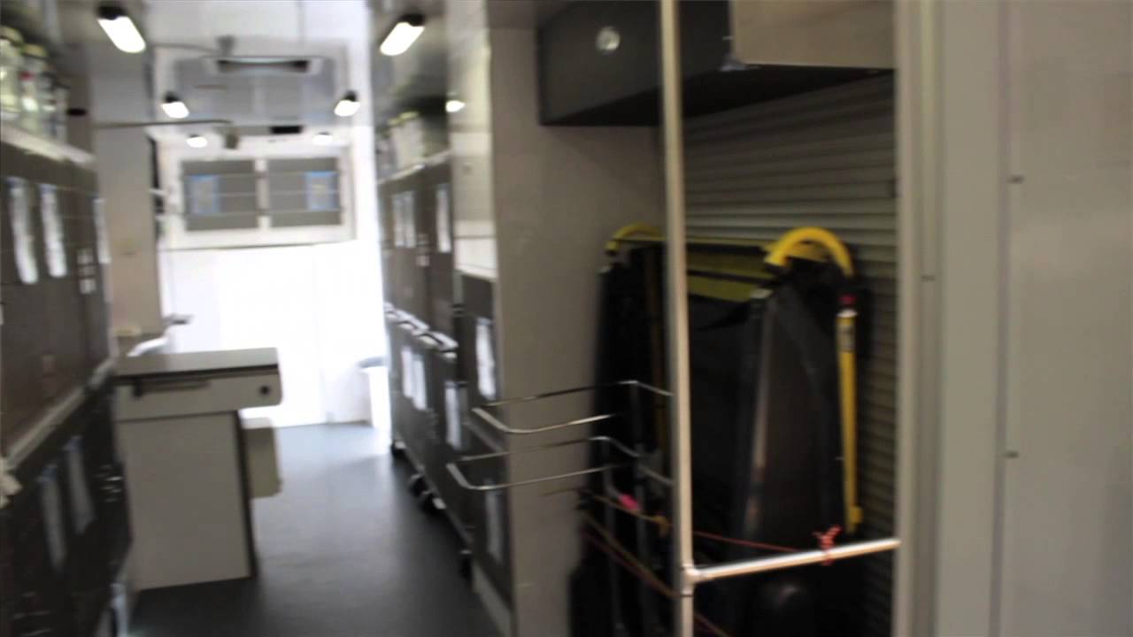 All About Animals Rescue