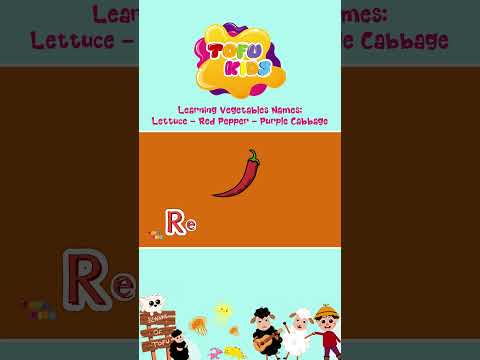 Learning Vegetables Names: Lettuce - Red Pepper - Purple Cabbage 🌶️ | Learn English For Kids