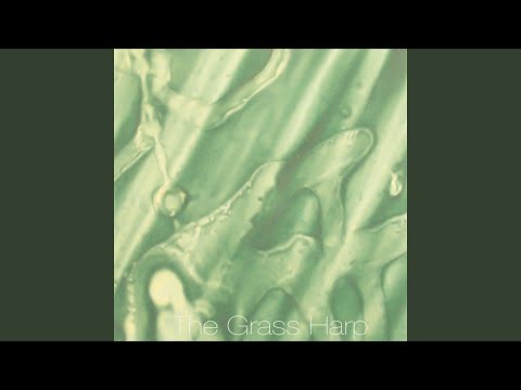 The Funeral Way (Live)