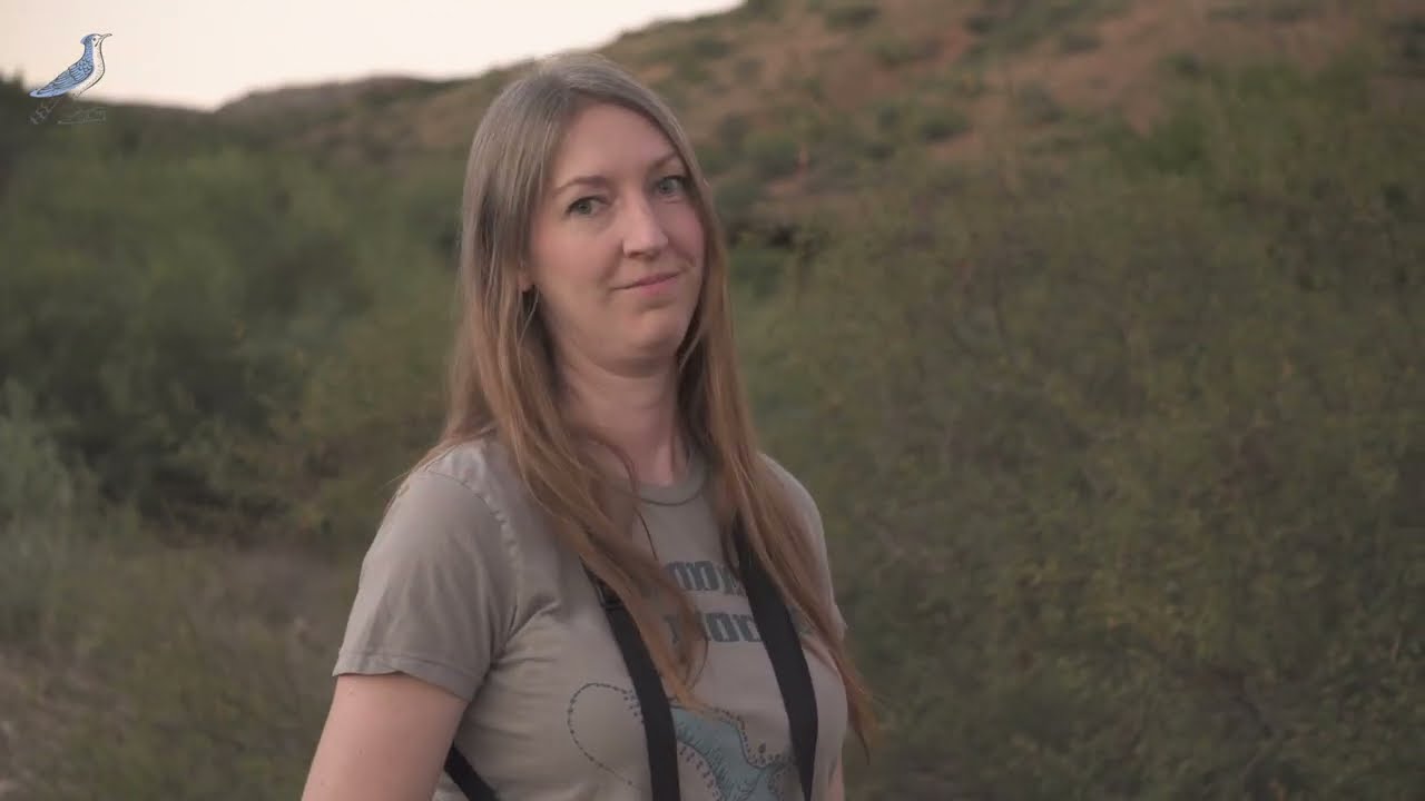 Beginner Bird Watching Tips From an Expert