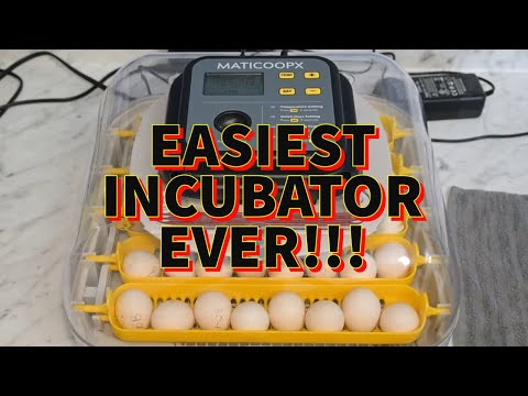 Maticoopx 30 egg incubator complete setup.