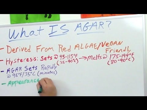 Introduction To Agar Gels