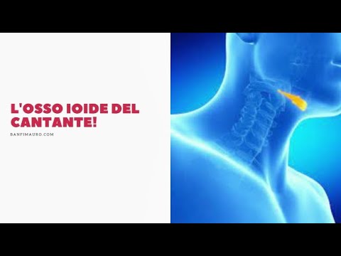 L’osso ioide nel cantante. – Mauro Banfi – osteopata fisioterapista per ...