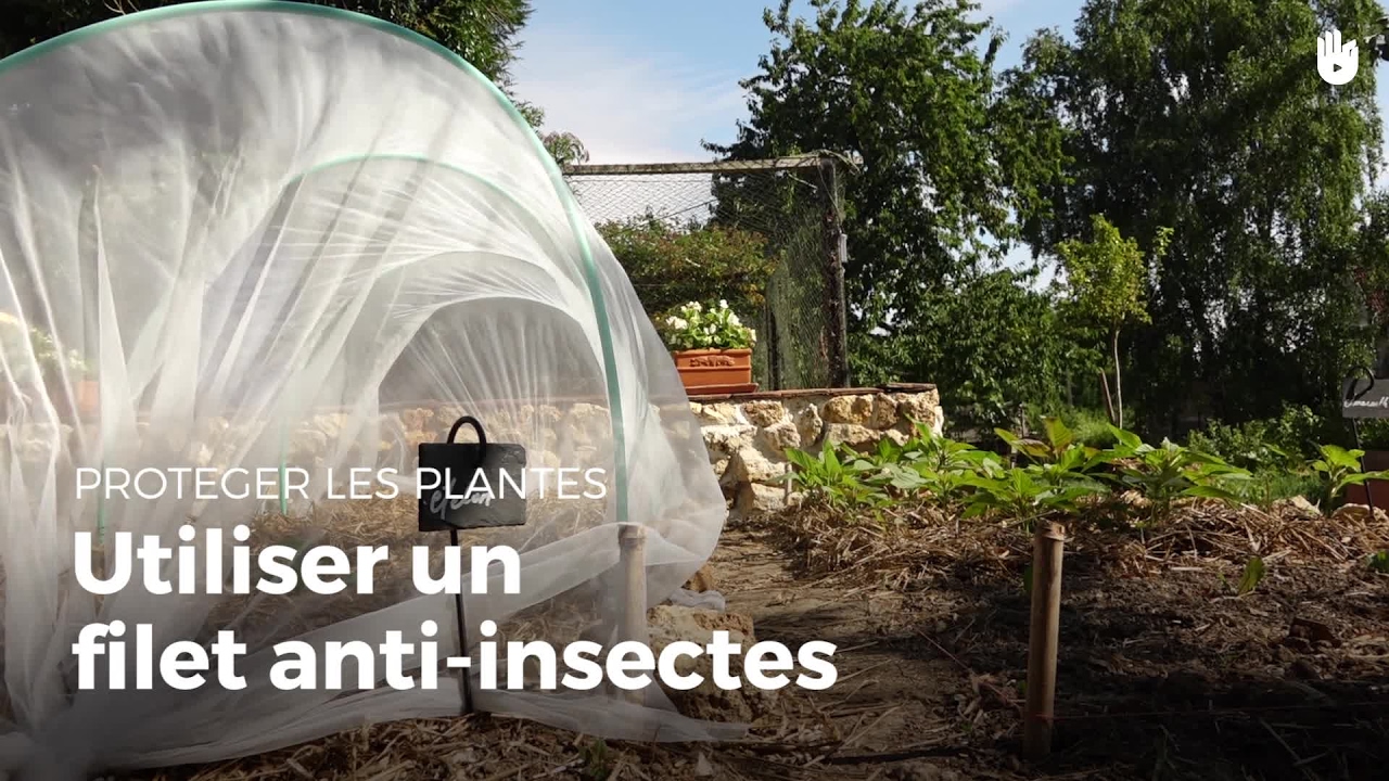 Utiliser un filet anti-insectes