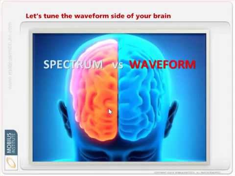 Vibration Analysis - Time Waveform Analysis by Mobius Institute
