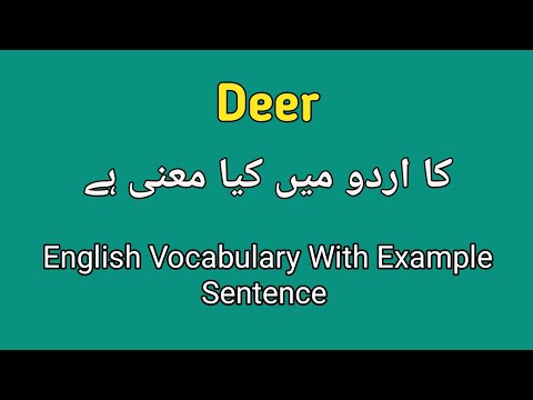 Deer meaning in Urdu | deer ka Urdu mein Kia matlab hota ha