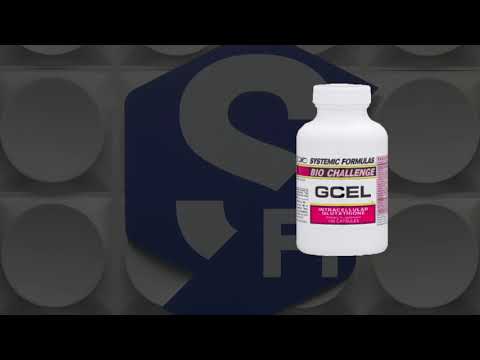 Body Phase - Body Detox Support by Systemic Formulas