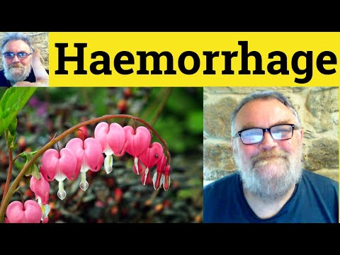 😎 Hemorrhage Meaning - Haemorrhage Definition - Hemorrhage Defined - Haemorrhage Means