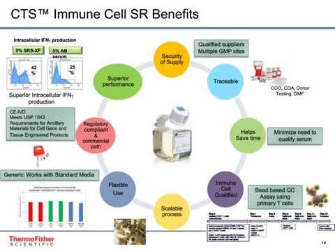Eliminate serum to gain control of your T cell research – New xenofree serum replacement