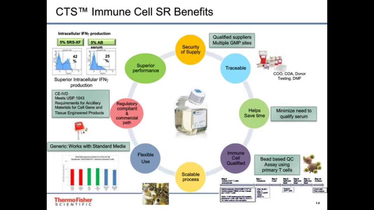 Eliminate serum to gain control of your T cell research – New xenofree serum replacement
